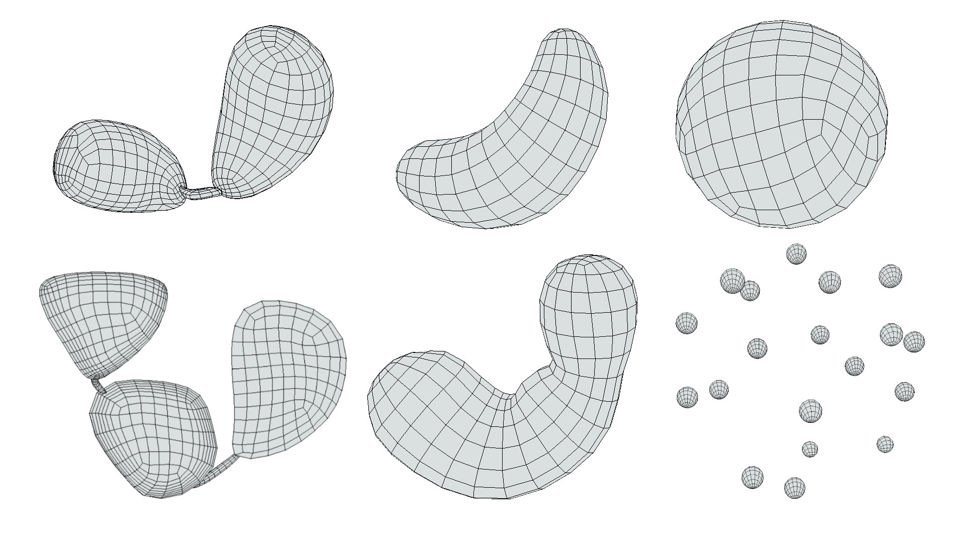 3D White Blood Cells Model - TurboSquid 2139862