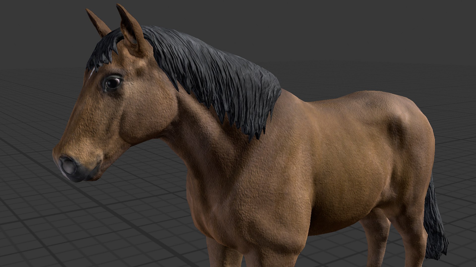 Horse Stallion 3D - TurboSquid 1938863