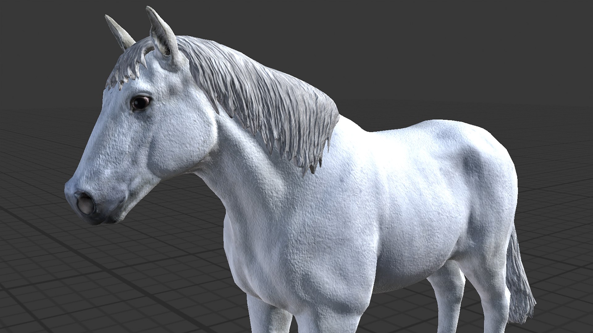 Horse Stallion 3D - TurboSquid 1938863