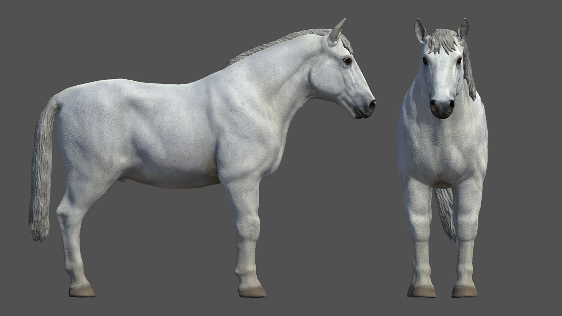 Horse Stallion 3D - TurboSquid 1938863
