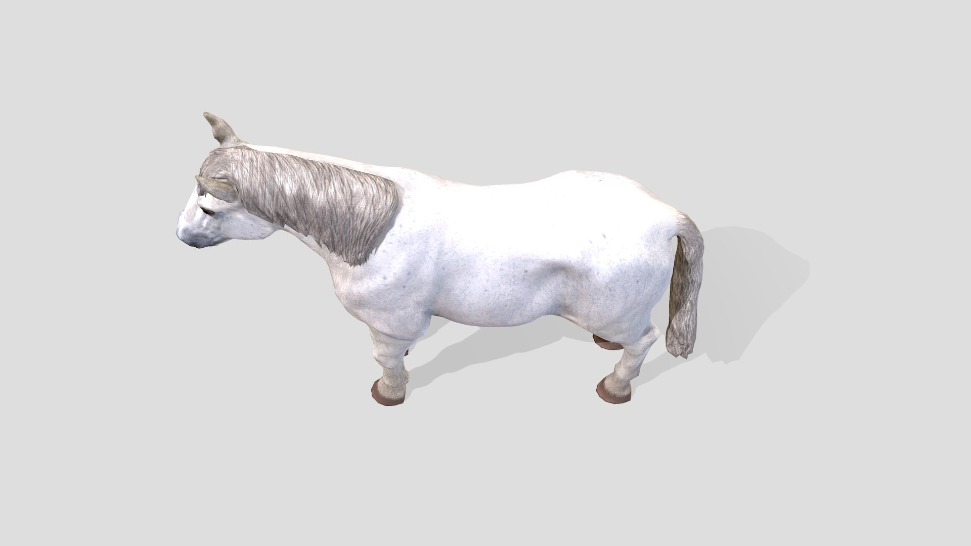 Horse Stallion 3D - TurboSquid 1938863