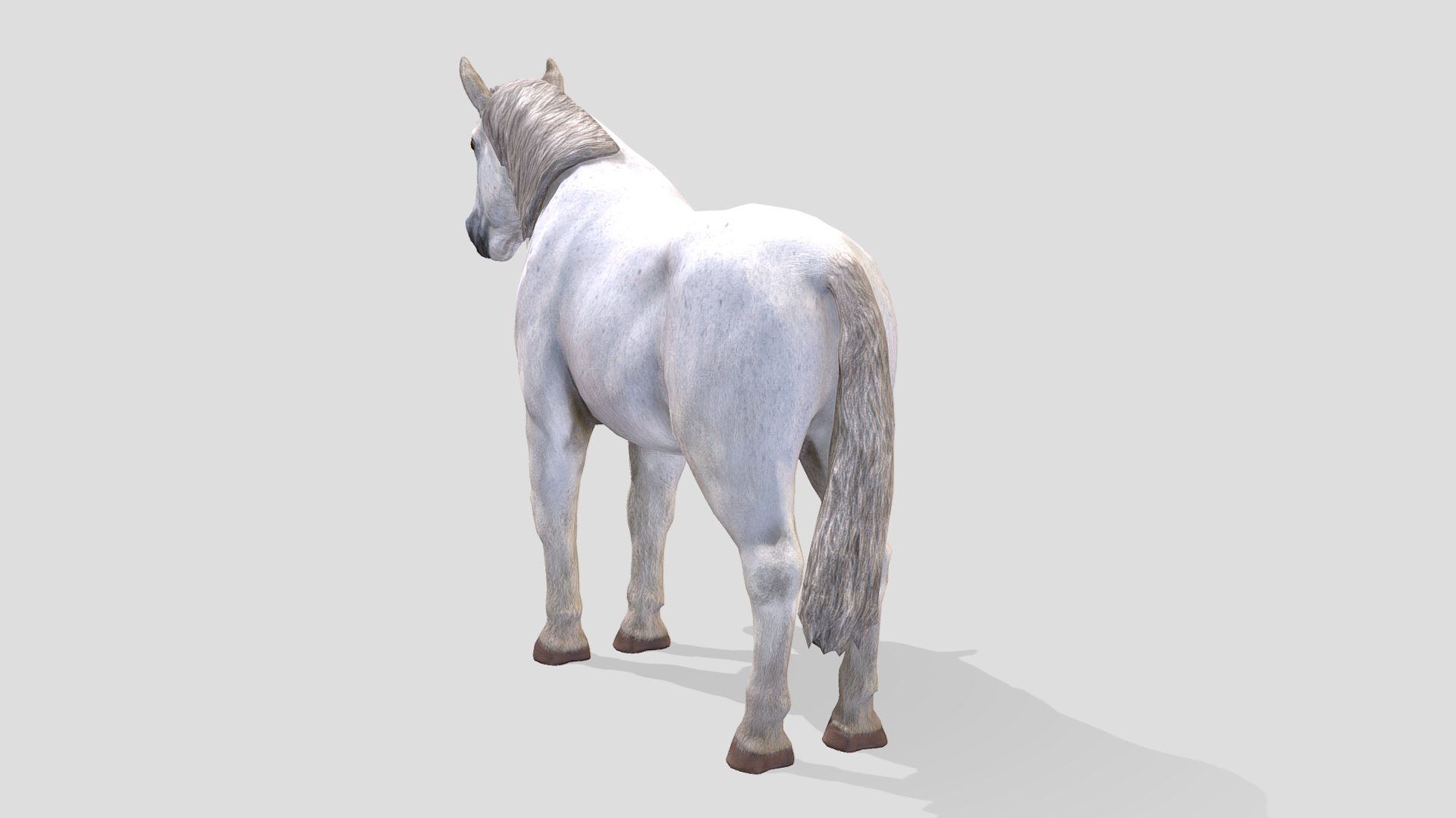 Horse Stallion 3D - TurboSquid 1938863
