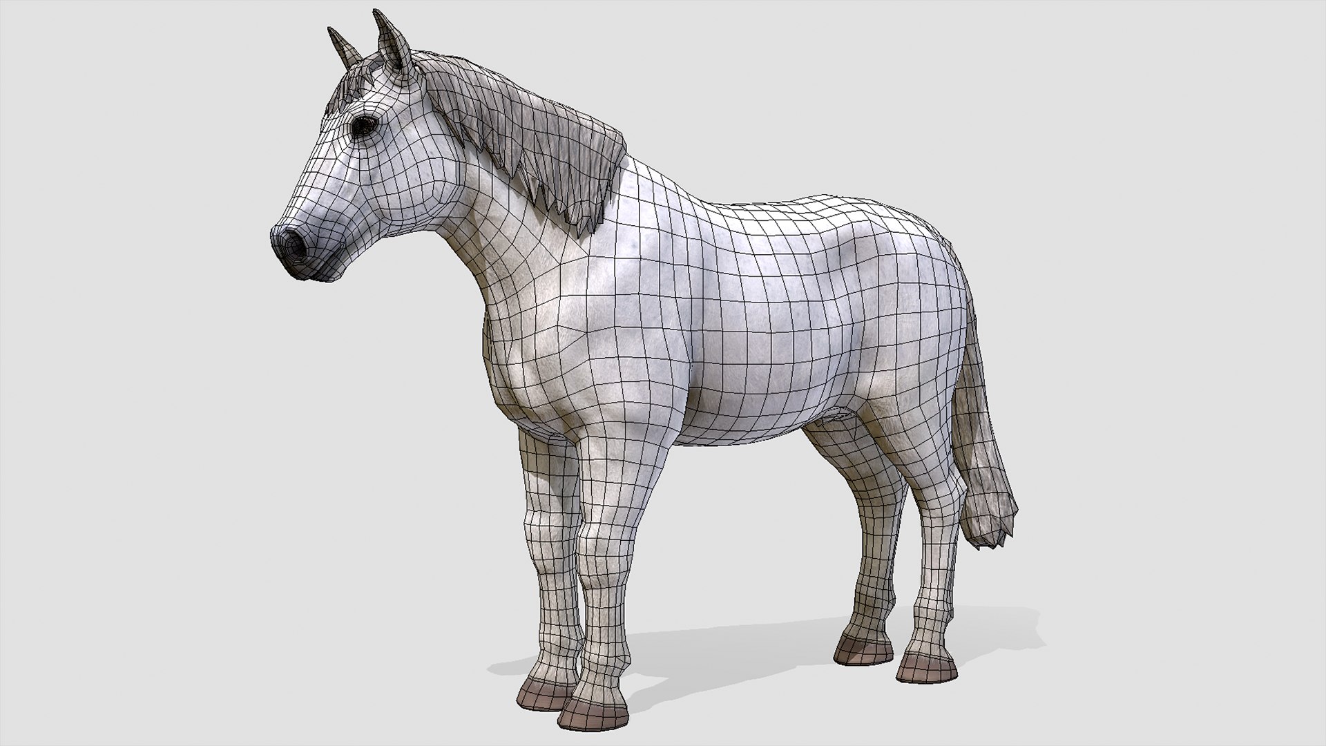 Horse Stallion 3D - TurboSquid 1938863