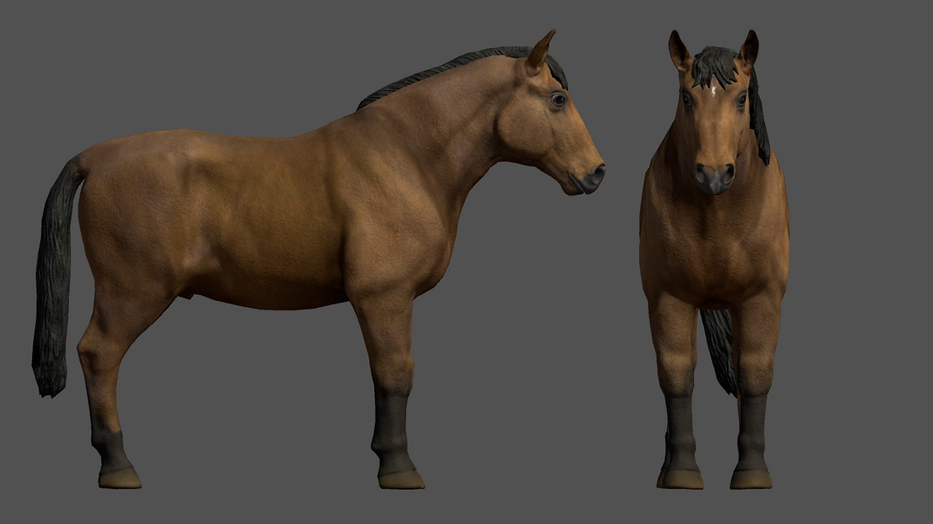 Horse Stallion 3D - TurboSquid 1938863