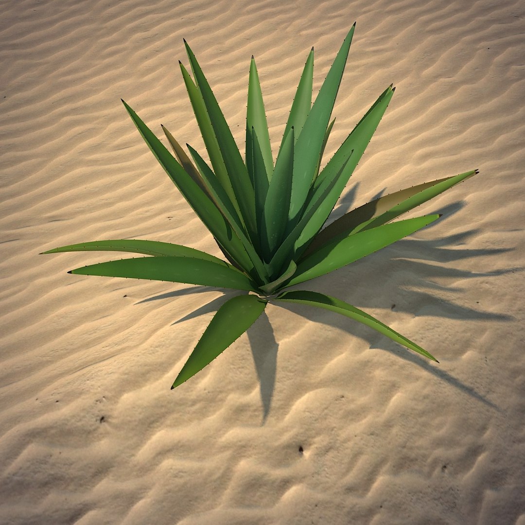 desert spikeplant max