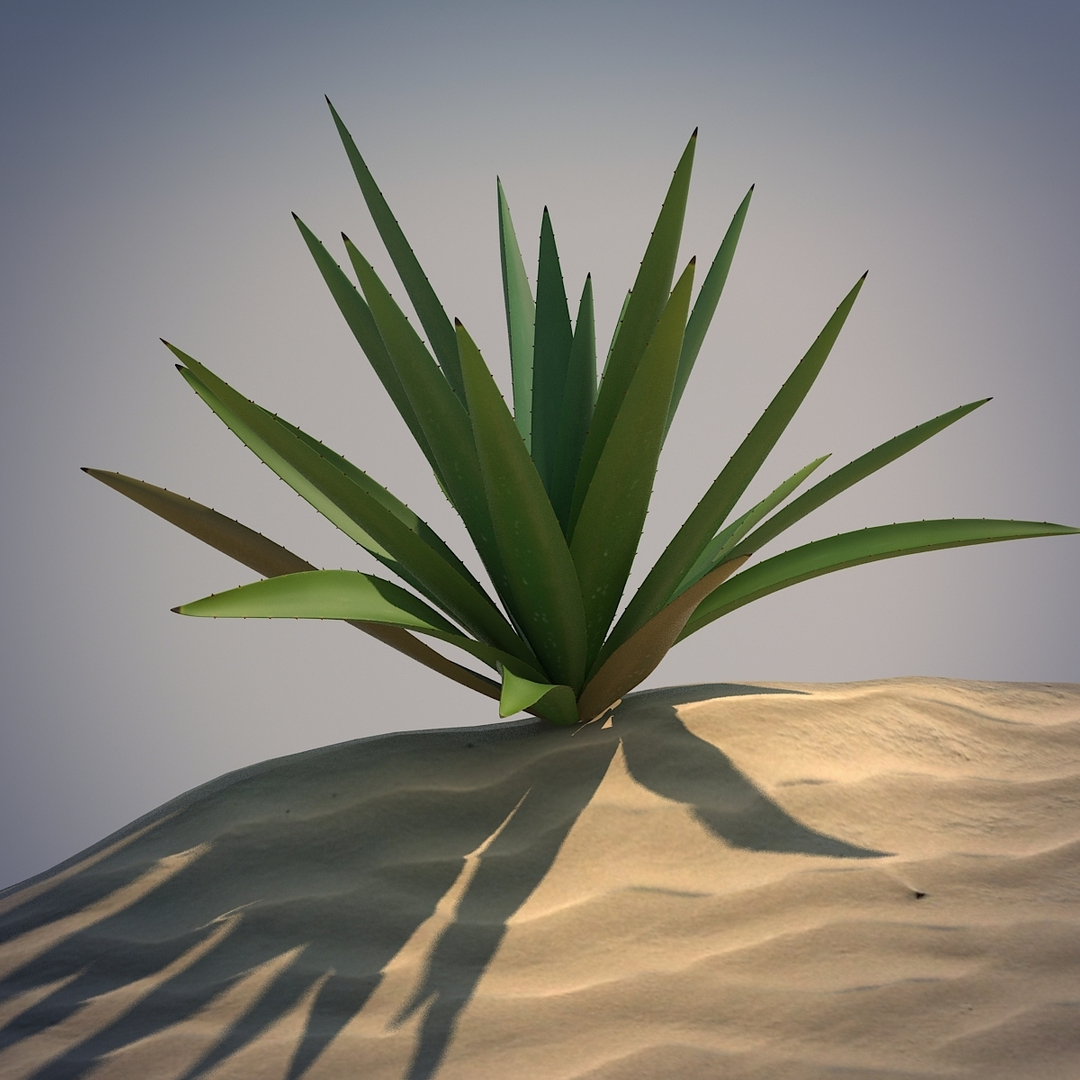 desert spikeplant max