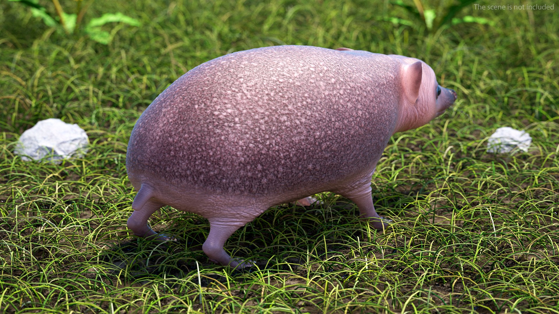 3D Hedgehog Bald Rigged for Cinema 4D - TurboSquid 2082943