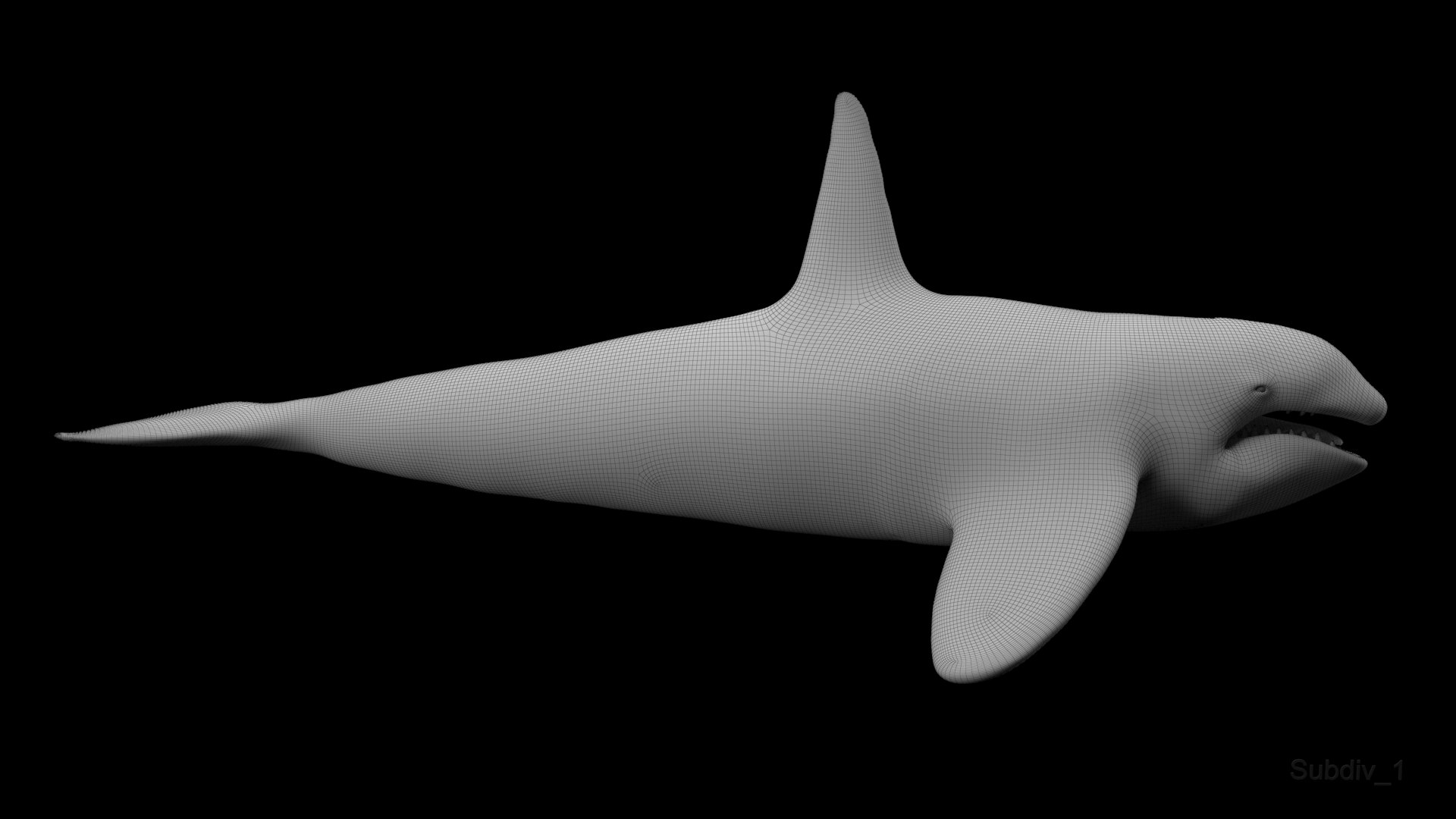 Killer Whale Animations 3D - TurboSquid 1507719