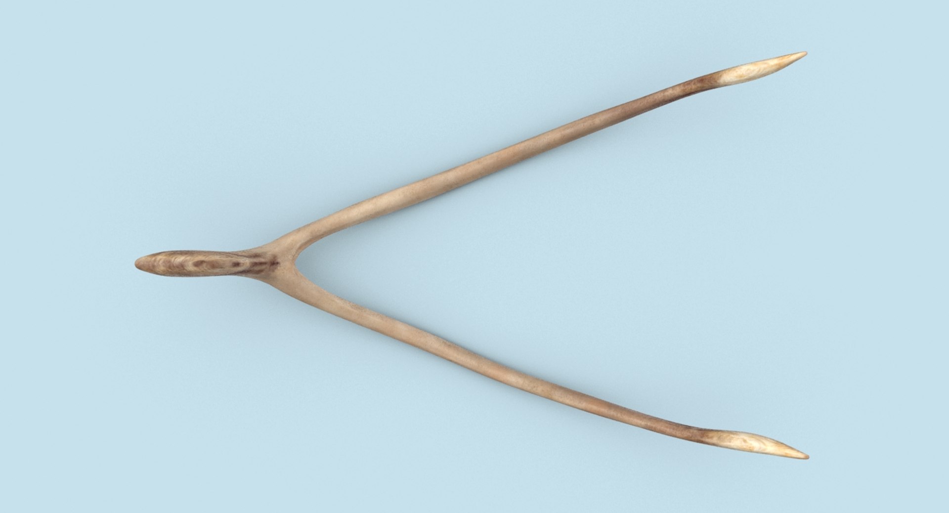 3D Wishbone - TurboSquid 1350055