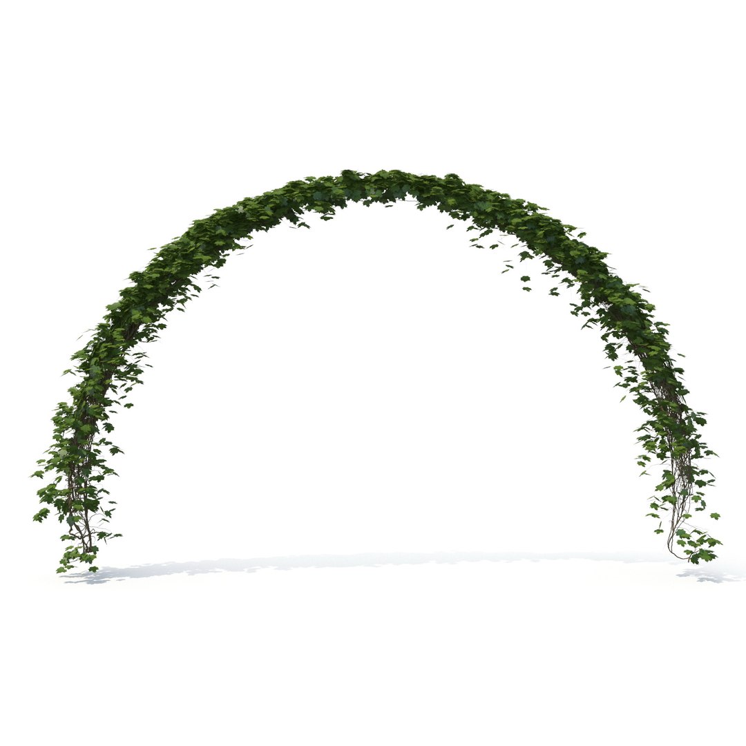 Realistic Ivy Arch 3D Model - TurboSquid 1151641