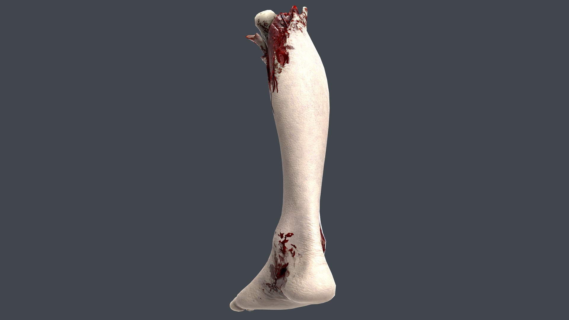 Severed Feet Collection model - TurboSquid 1930627