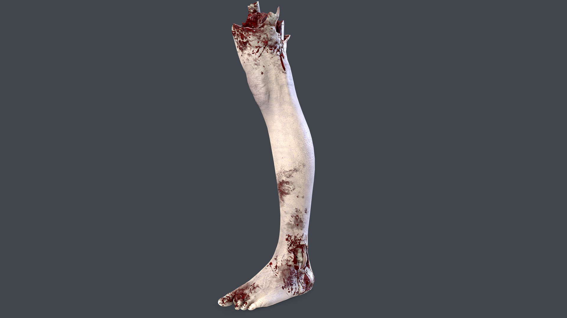 Severed Feet Collection model - TurboSquid 1930627