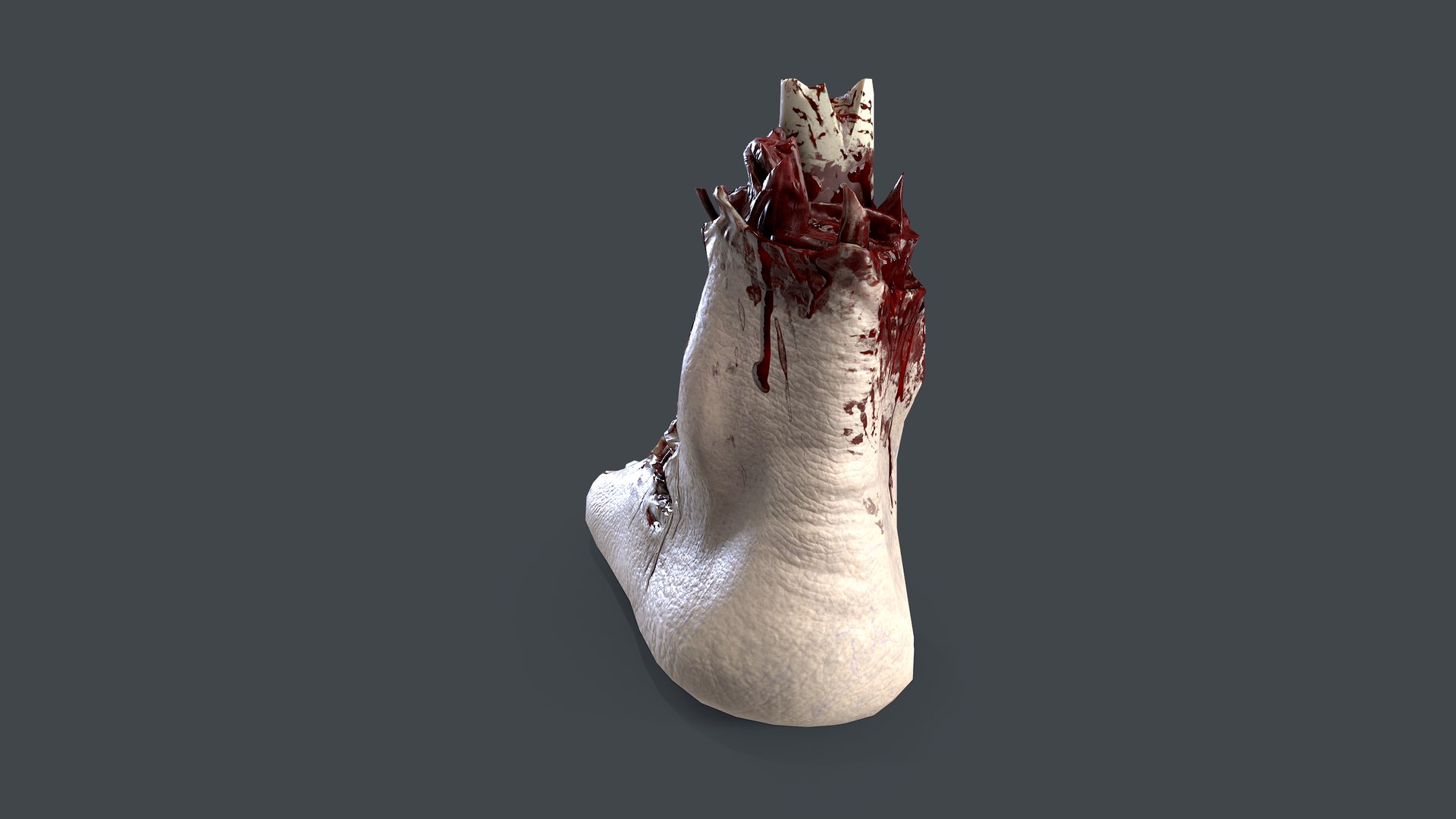 Severed Feet Collection model - TurboSquid 1930627
