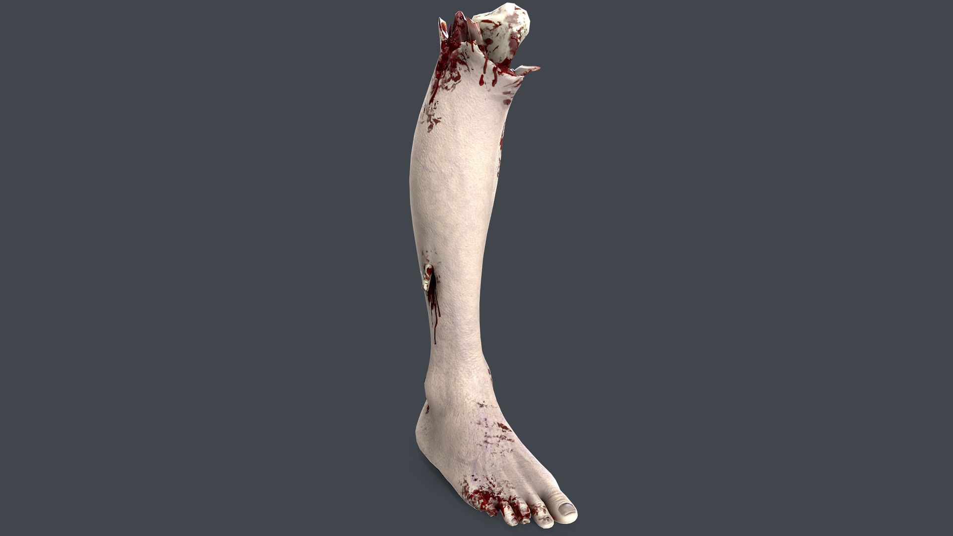 Severed Feet Collection model - TurboSquid 1930627