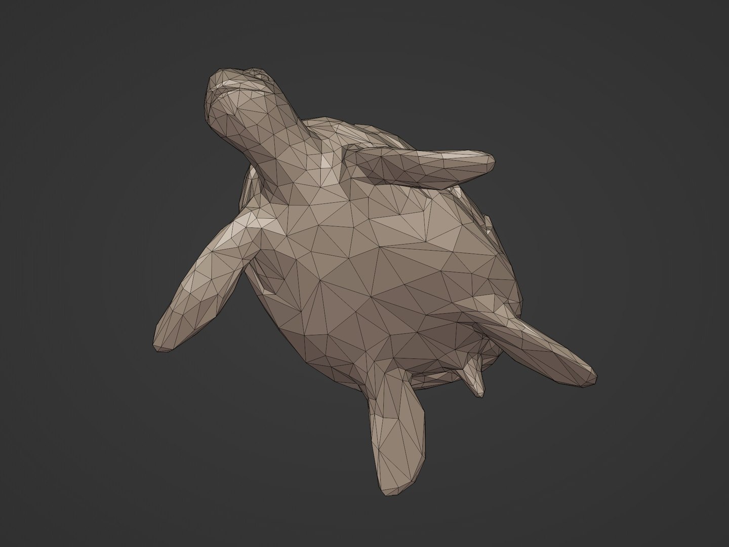 Low Poly Sea Turtle 3D - TurboSquid 1952529