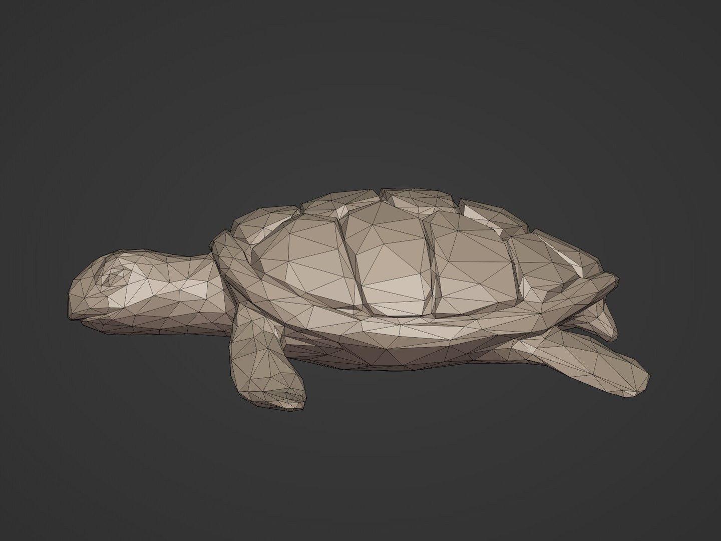 Low Poly Sea Turtle 3D - TurboSquid 1952529