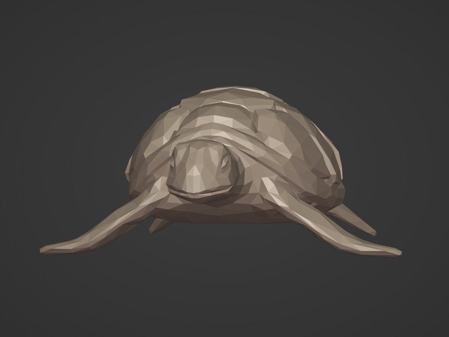 Low Poly Sea Turtle 3D - TurboSquid 1952529