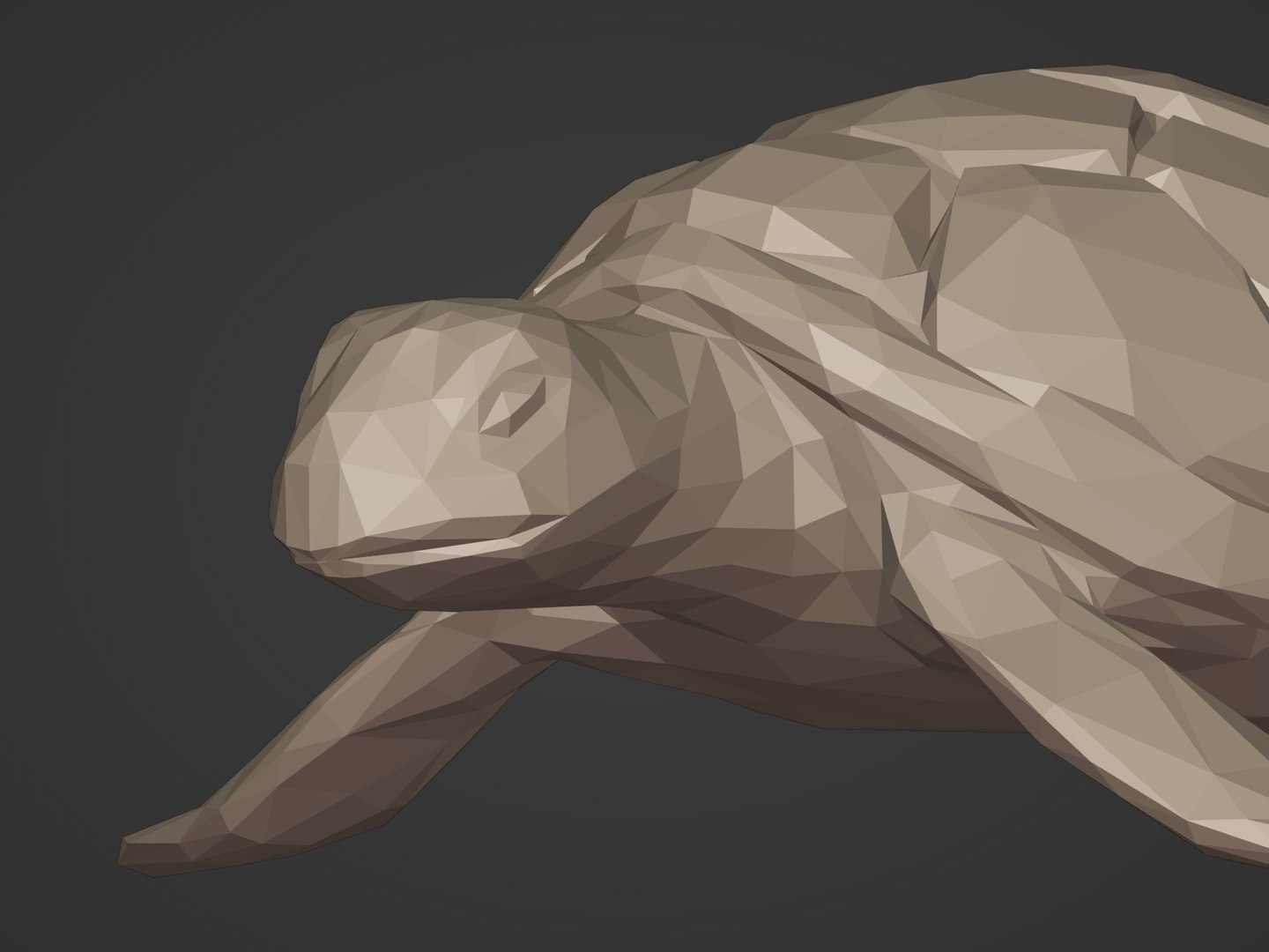 Low Poly Sea Turtle 3D - TurboSquid 1952529