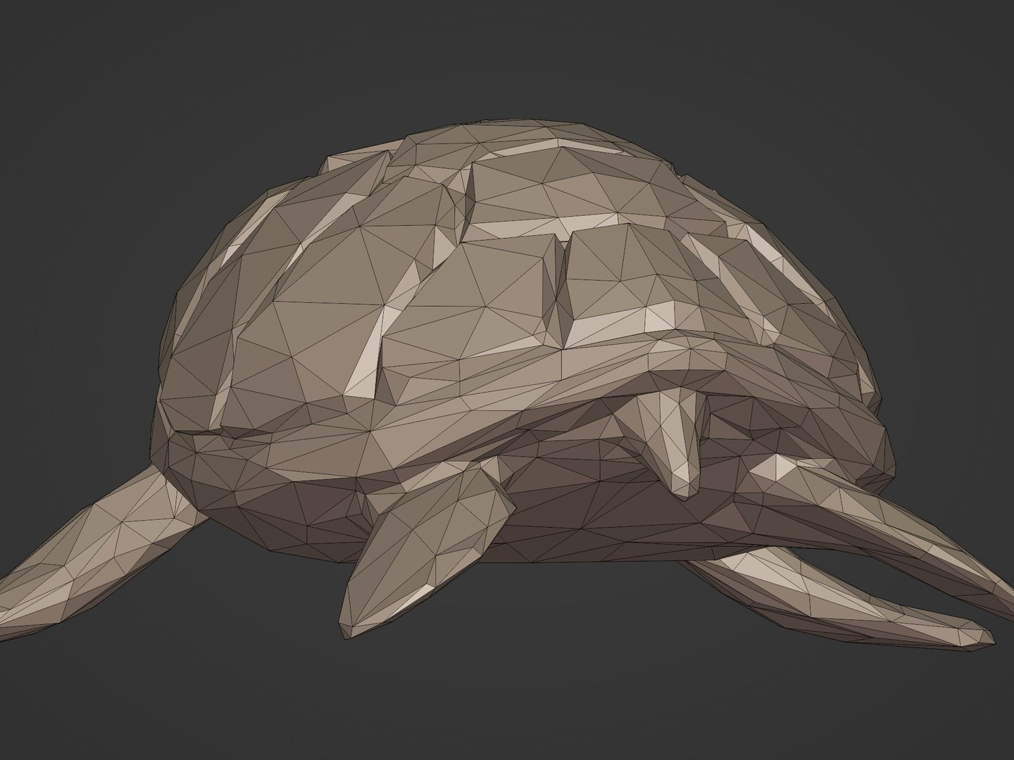 Low Poly Sea Turtle 3D - TurboSquid 1952529