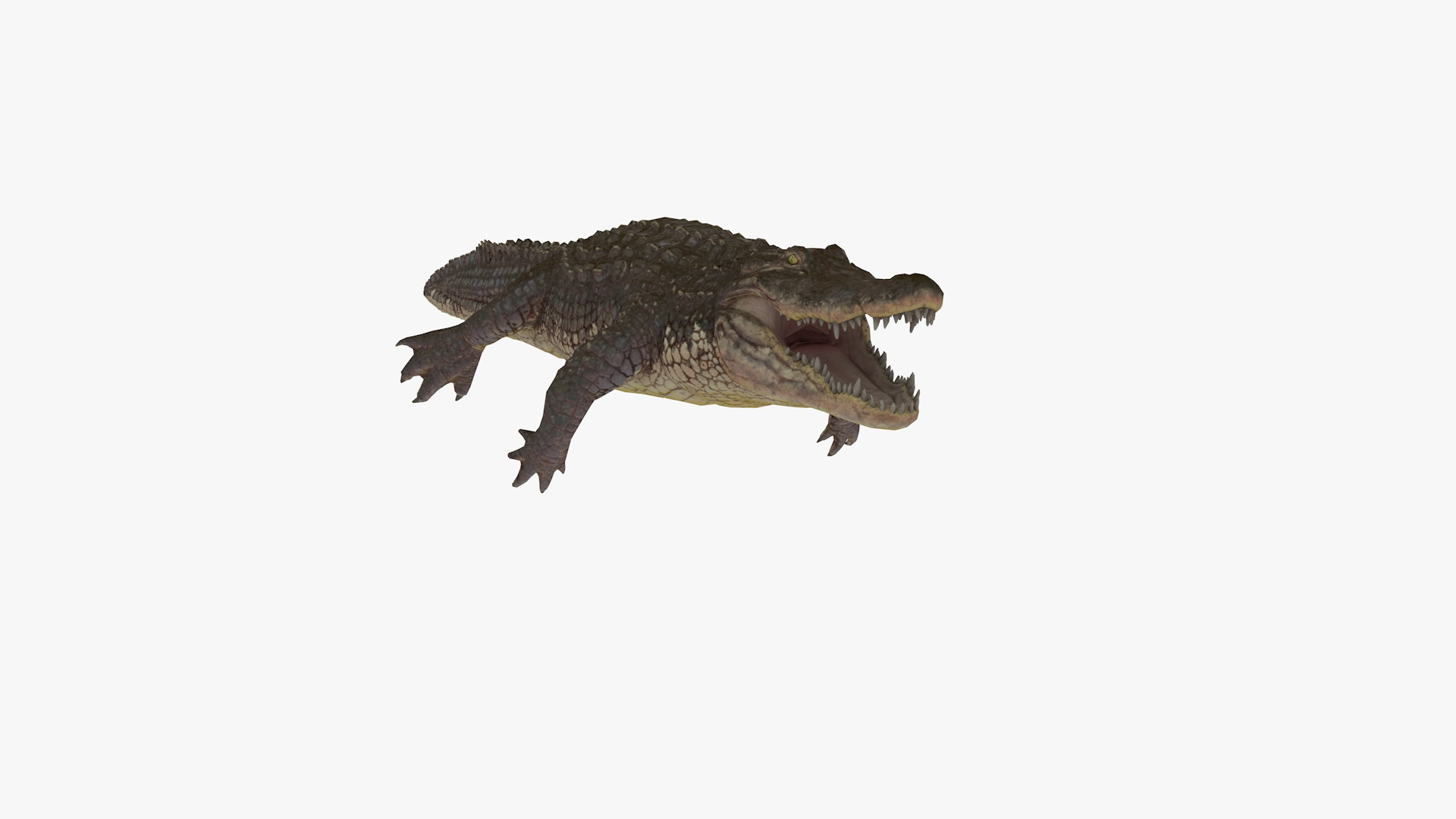 2in1 Alligator Riged And Animated 3D - TurboSquid 2335489