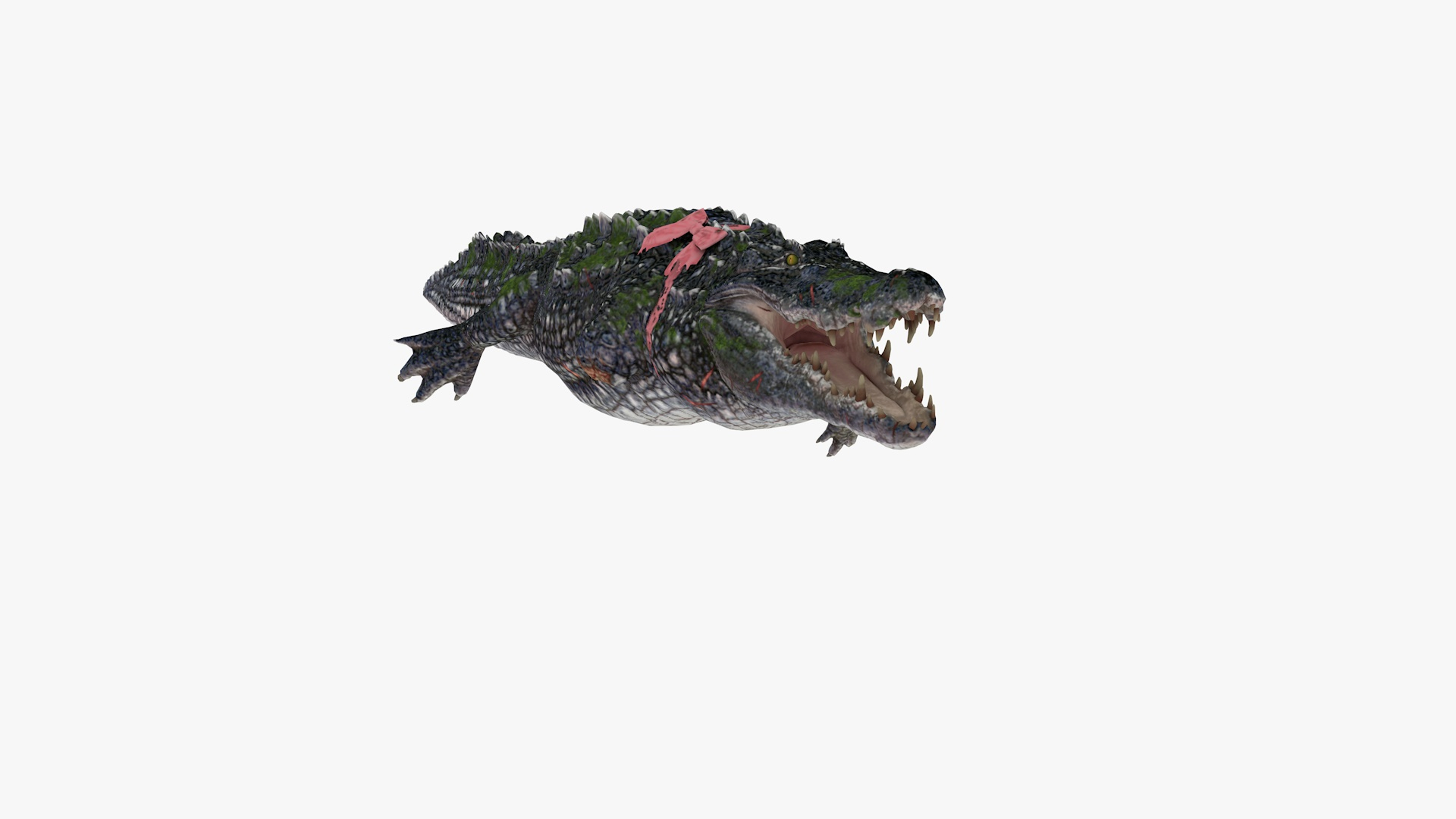 2in1 Alligator Riged And Animated 3D - TurboSquid 2335489