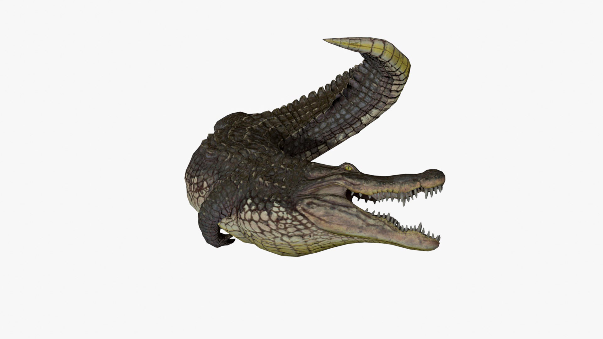 2in1 Alligator Riged And Animated 3D - TurboSquid 2335489