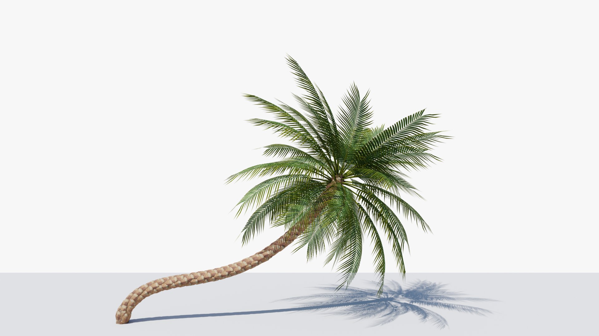 3D Date Palm V3 - TurboSquid 2015428