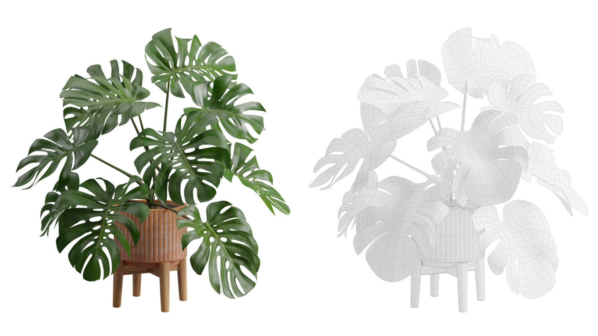 3D Model Stand Pot Plant Monstera Deliciosa - TurboSquid 2072722