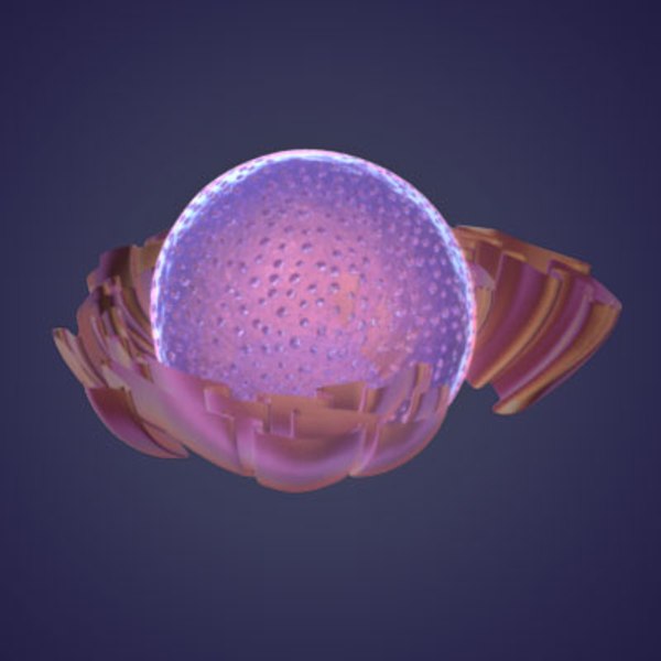 3D Nucleus Models | TurboSquid