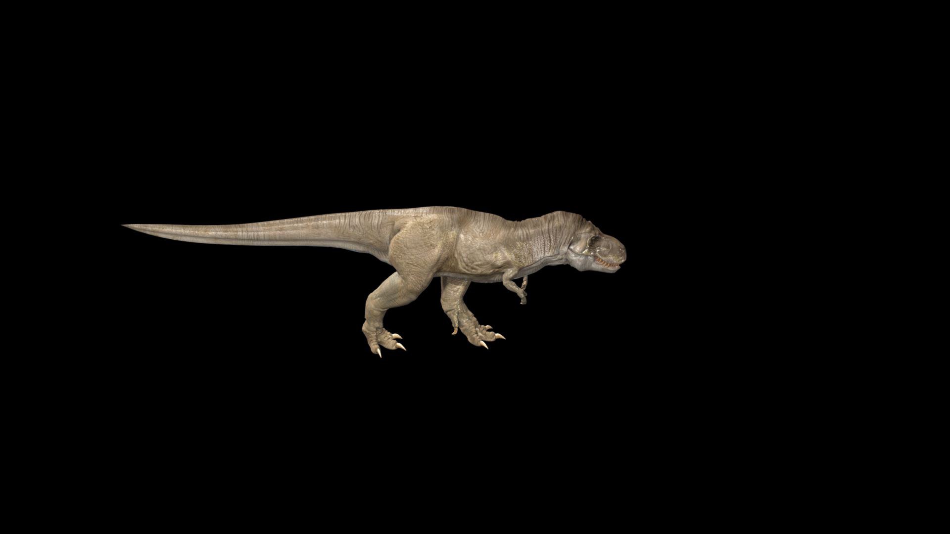 3D Model T-rex 3d Model - TurboSquid 1776439