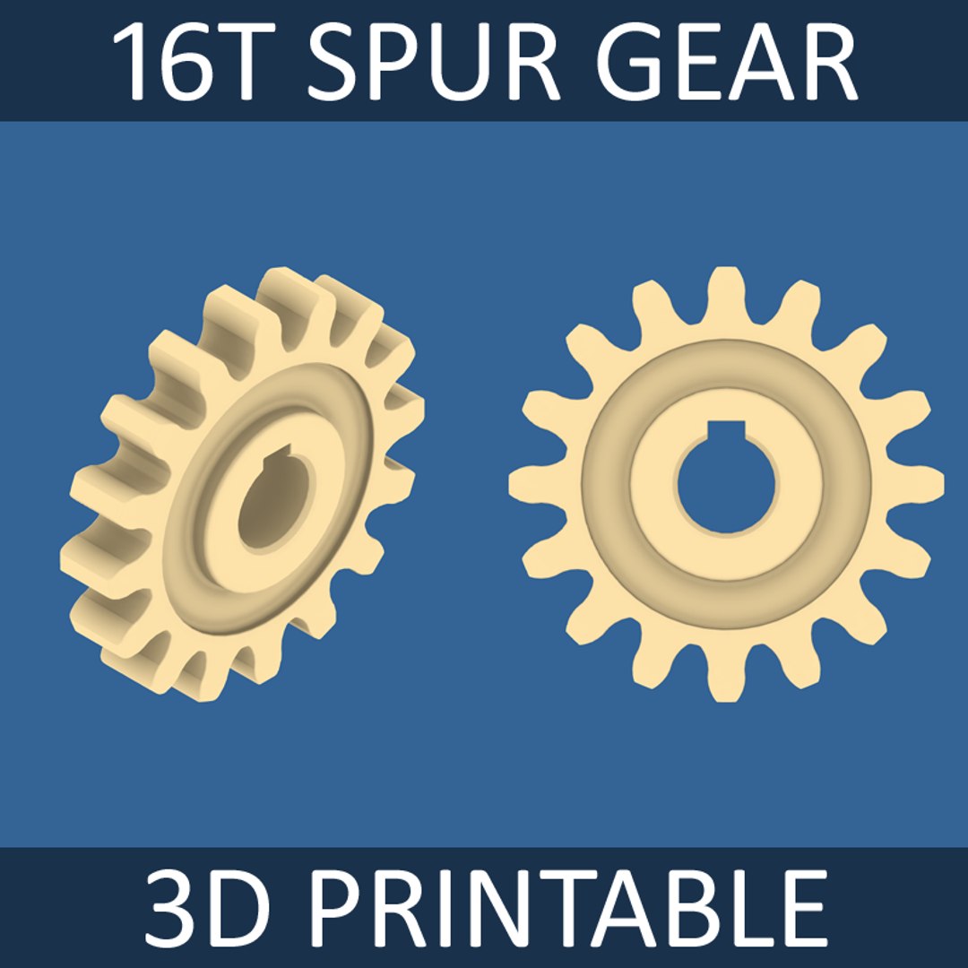 Free 16-tooth Spur Gear 3d Model