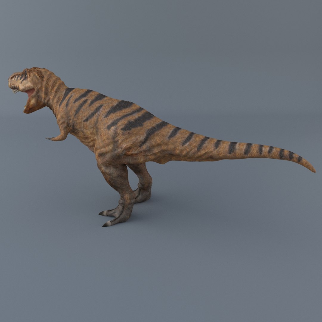 Tyrannosaurus Rex 3d Model