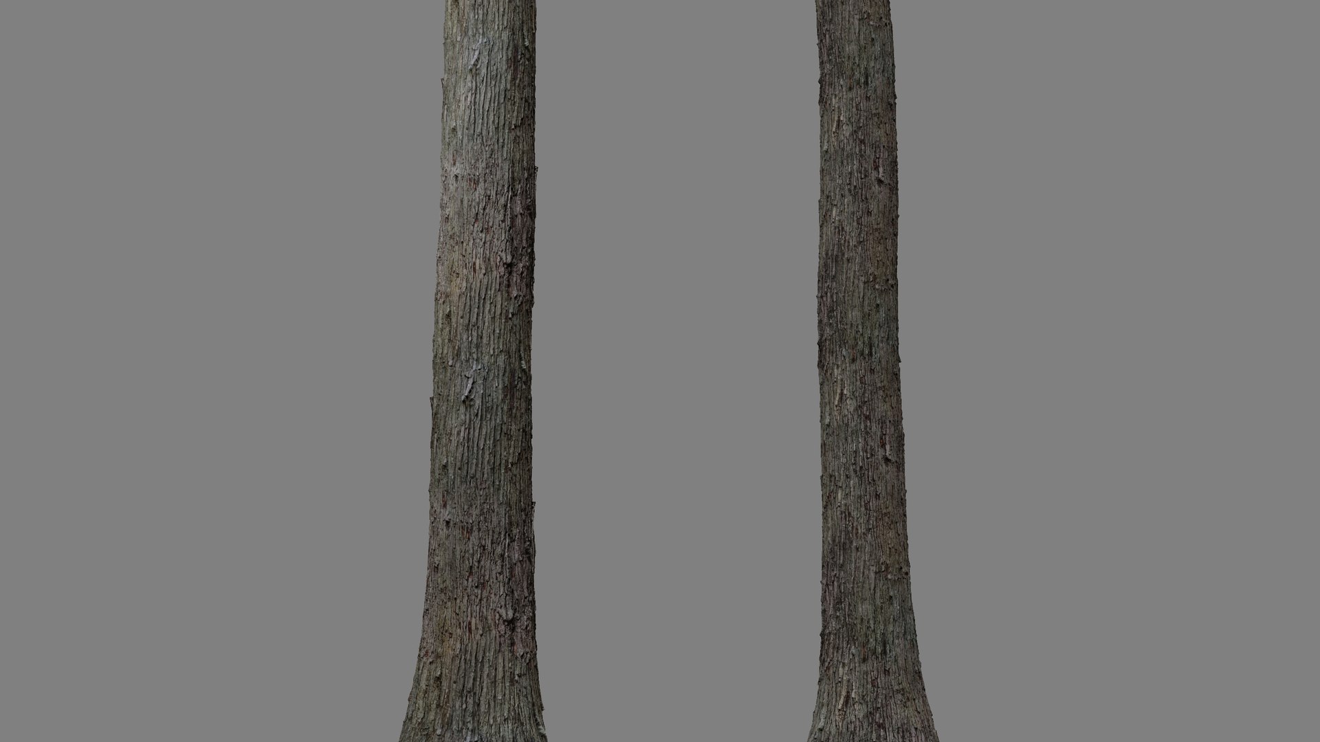 Silver Maple PBR Tiled Texture 8K Model - TurboSquid 2245052