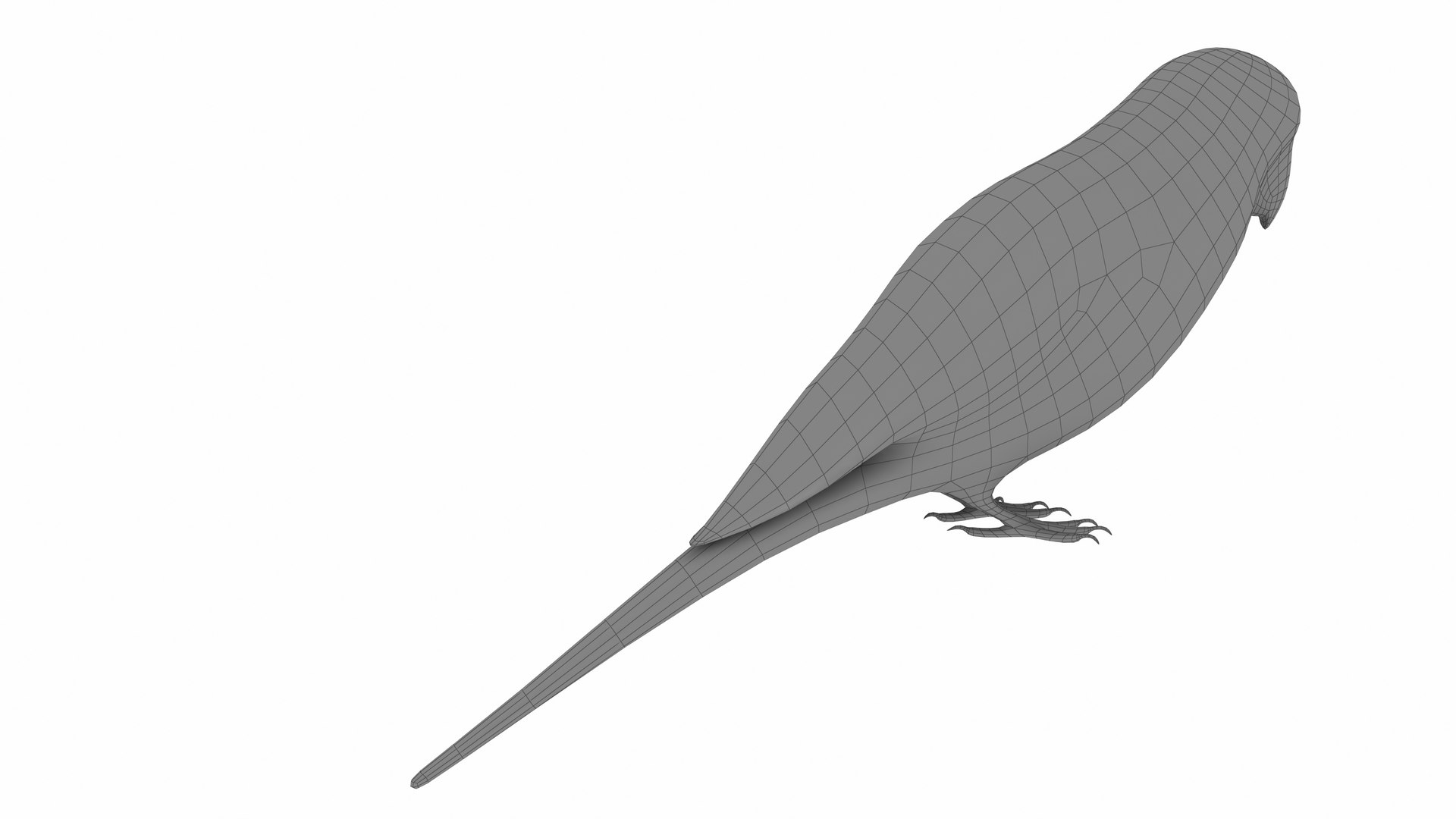 3D Small Bird Colleciton 8 In 1 - TurboSquid 2340632