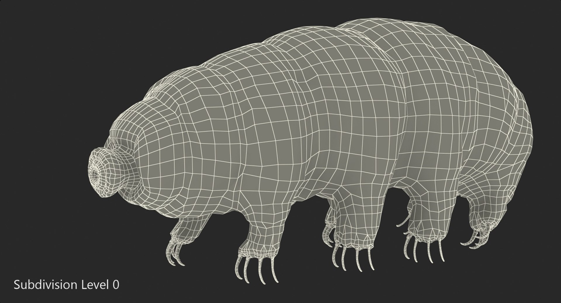 Tardigrade Microscopic Water 3D Model - TurboSquid 1416250