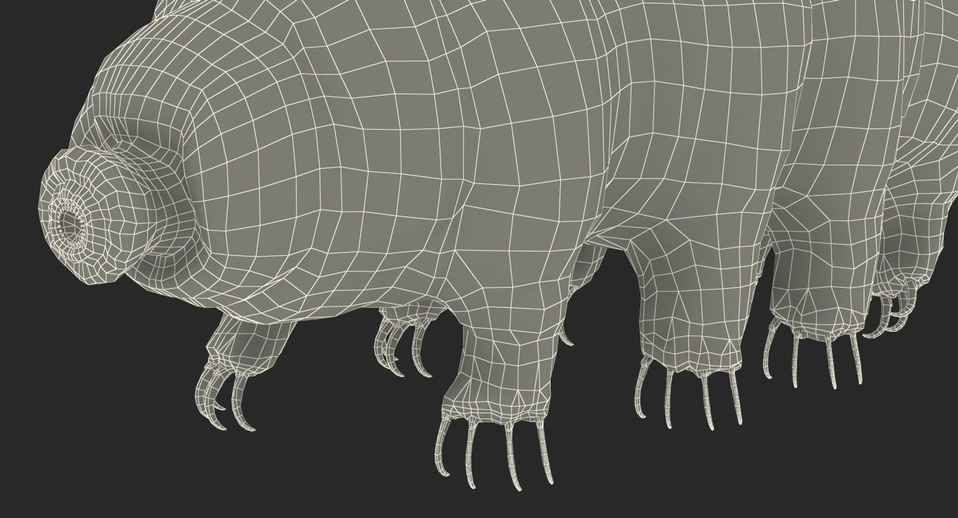 Tardigrade microscopic water 3D model - TurboSquid 1416250