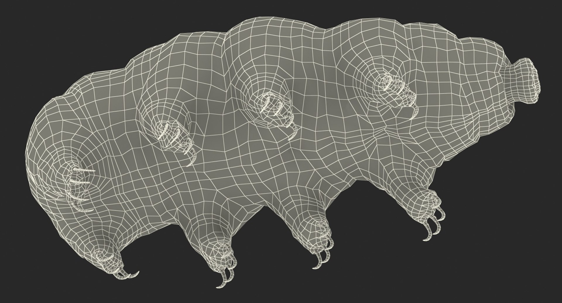 Tardigrade microscopic water 3D model - TurboSquid 1416250