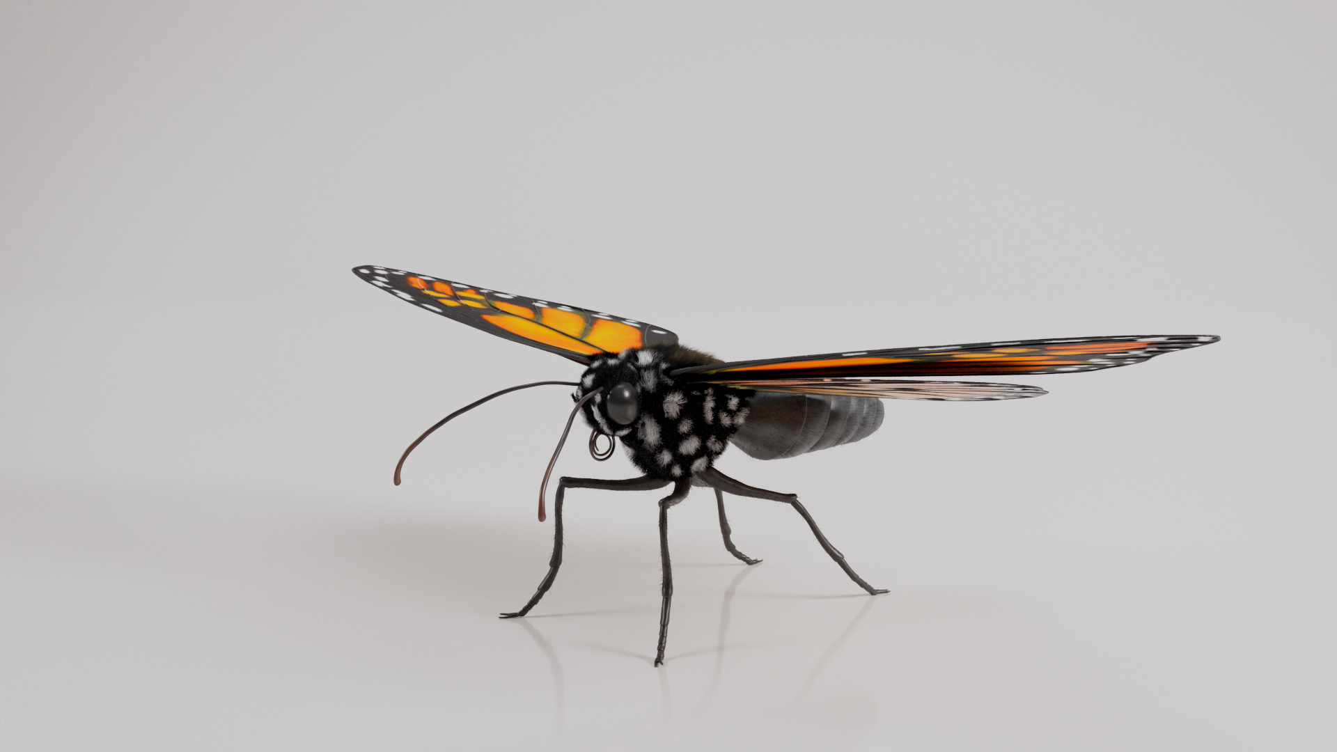 Ultimate Realistic Monarch Butterfly 3D - TurboSquid 2067460