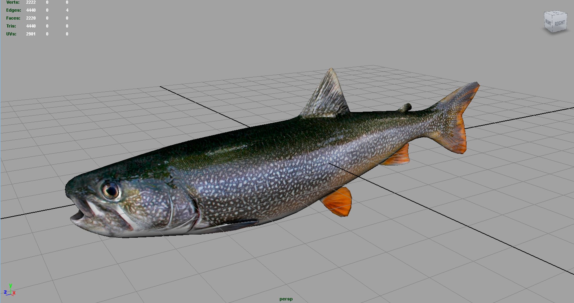 Trout Fish Food 3D - TurboSquid 1263412