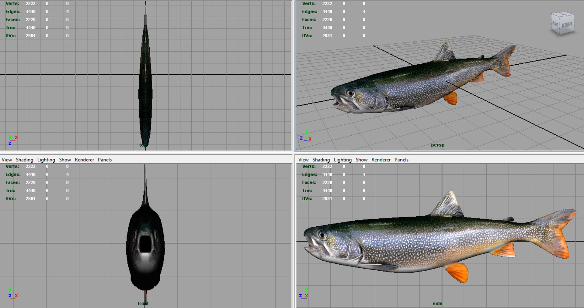 Trout Fish Food 3D - TurboSquid 1263412