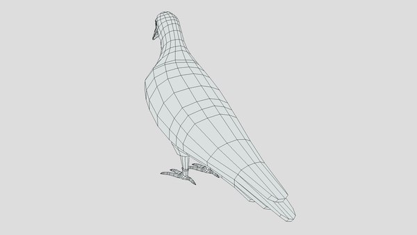 3D model Low Poly Cartoon Pigeon - TurboSquid 1853130
