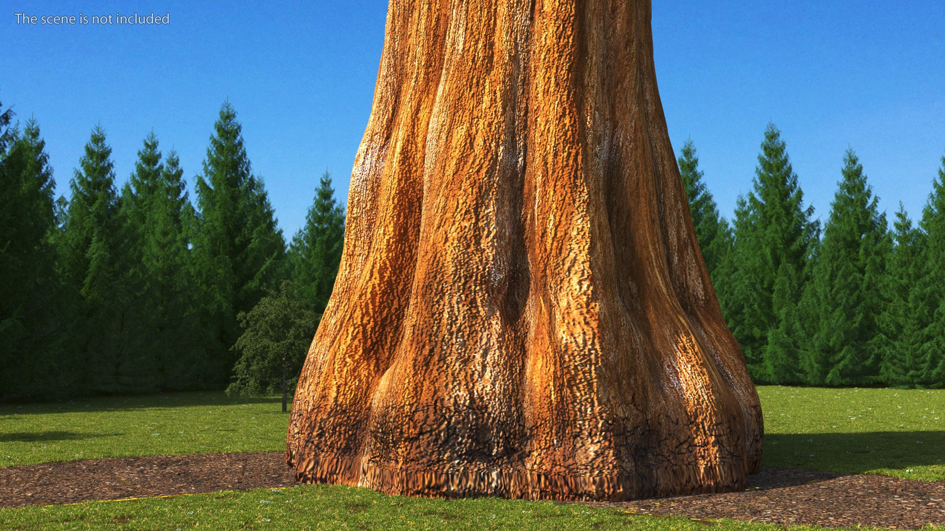 3D Giant Sequoia Sequoiadendron Giganteum Model - TurboSquid 1985290