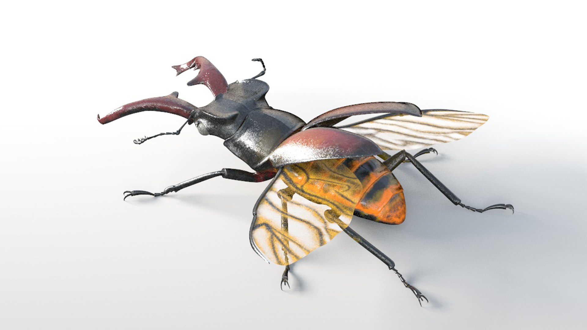 3D Model 5 Beetle Insects Collection - TurboSquid 2245303