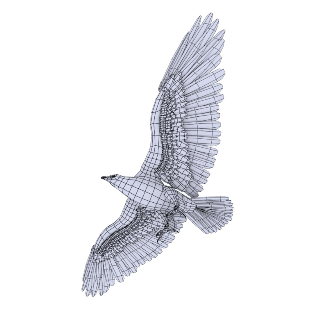 Eagle 3D - TurboSquid 1166186