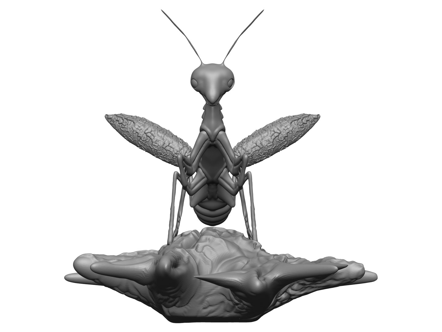 Realistic Praying Mantis Model - TurboSquid 1874356