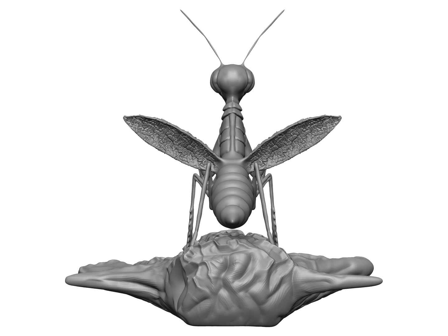 Realistic Praying Mantis Model - TurboSquid 1874356