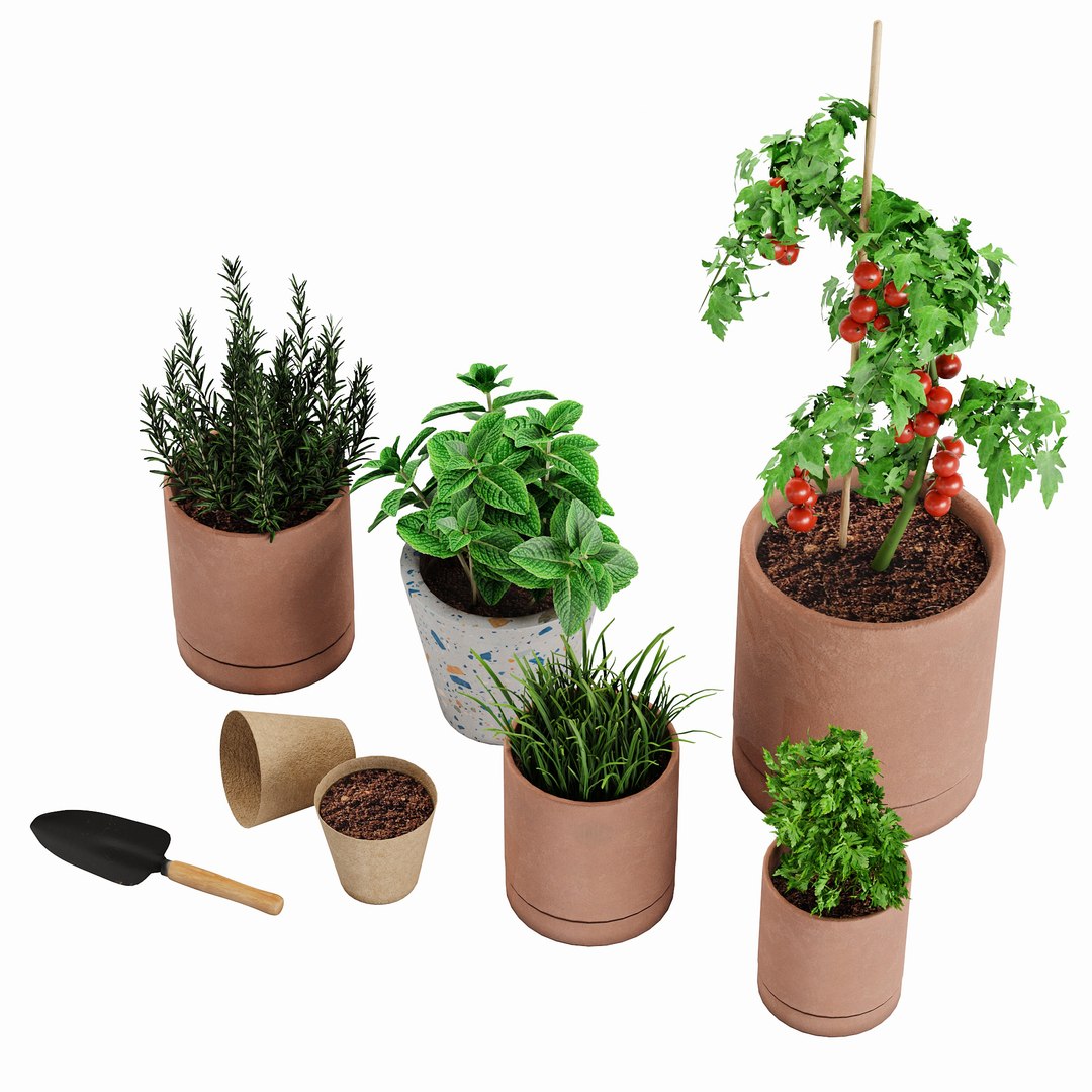 3D Victoria Aromatic Plants Model - TurboSquid 2207833