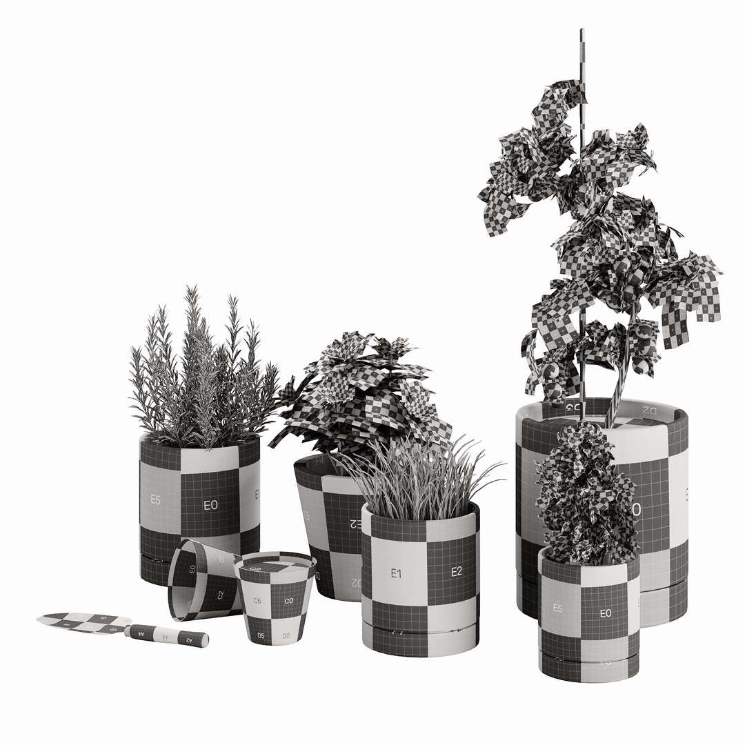 3D Victoria Aromatic Plants Model - TurboSquid 2207833
