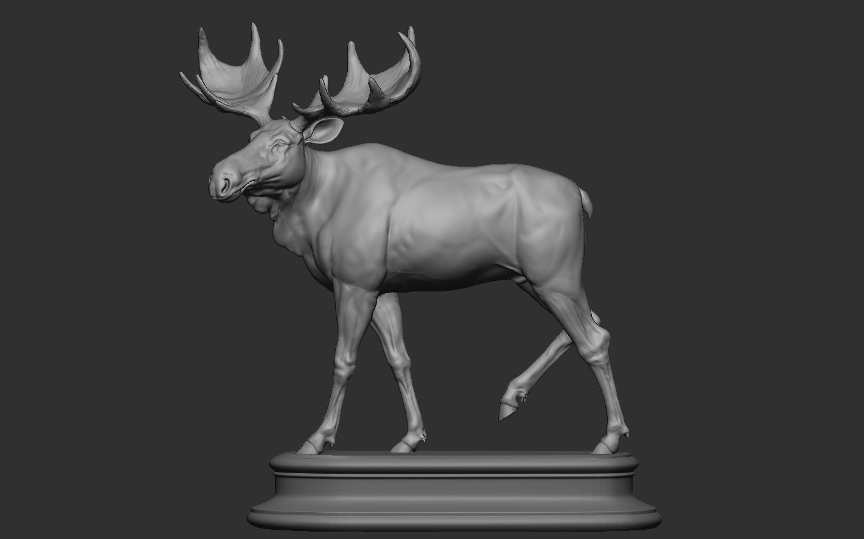 Moose 3D Model - TurboSquid 2119444