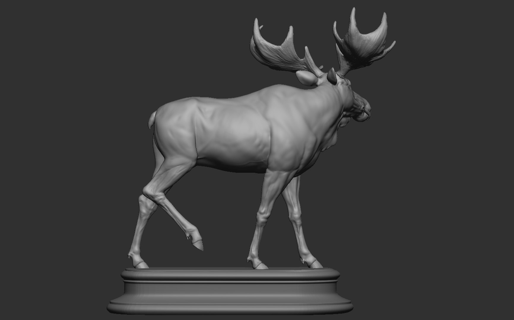 Moose 3D Model - TurboSquid 2119444